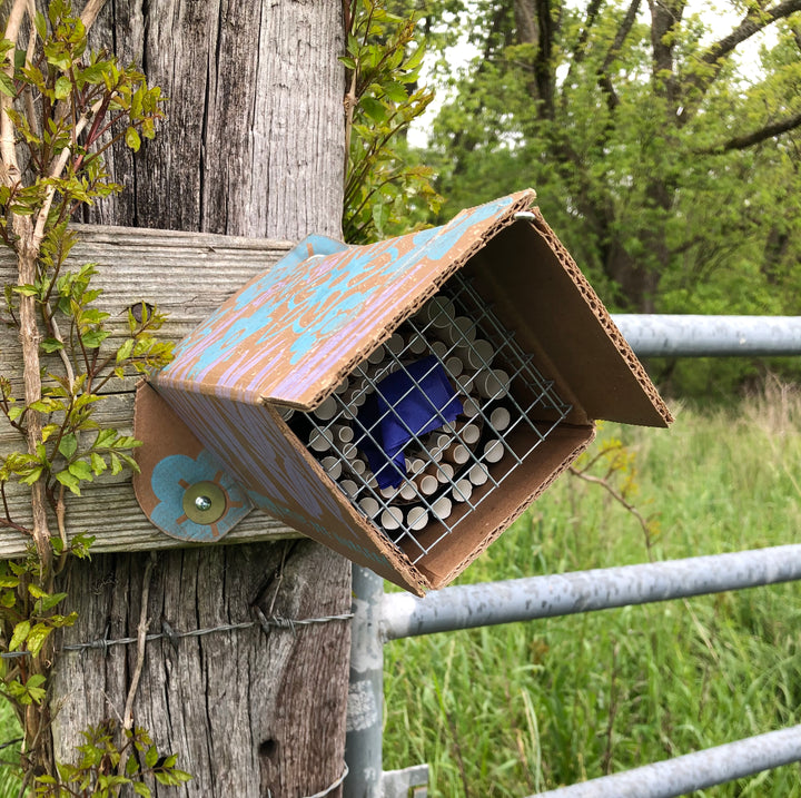 BeeFoster - home of the Beestra Native Bee Nursery